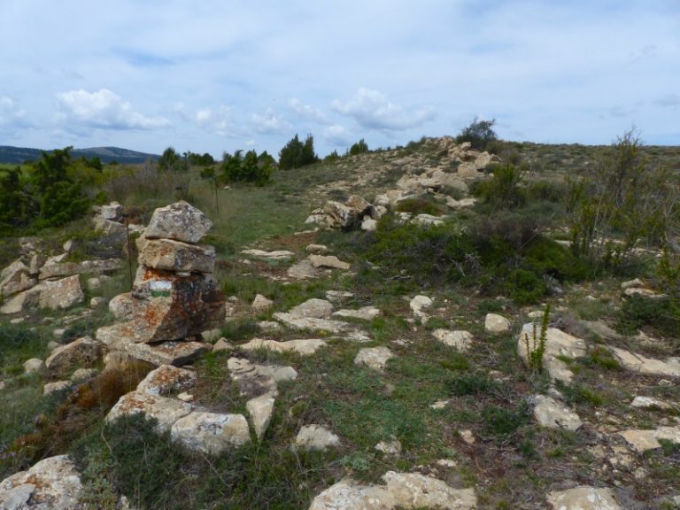 LA DEHESA DE ALLEPUZ - Parque del Chopo Cabecero del Alto Alfambra